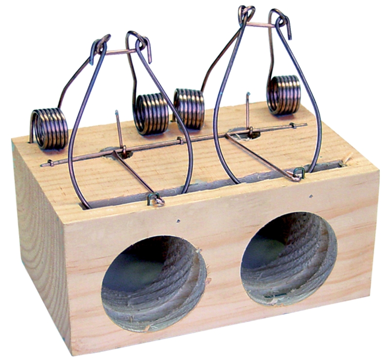 RATONERA 2 AGUJEROS MEDIANA Ø37 MM